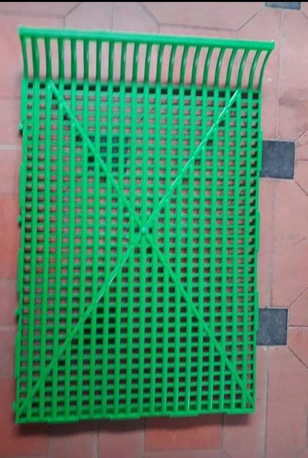 CHICK POULTRY SHEET FOR CHICKS AND BIRDS – Iman Enterprise